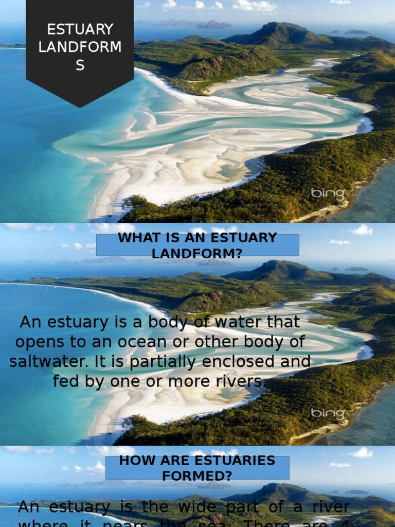 ESTUARY | PDF