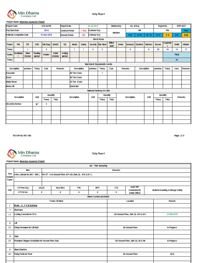 Daily Progress Report | PDF