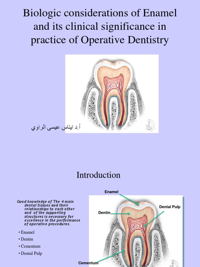 Enamel Structure and Clinical Significance | PDF | Tooth Enamel | Dentin