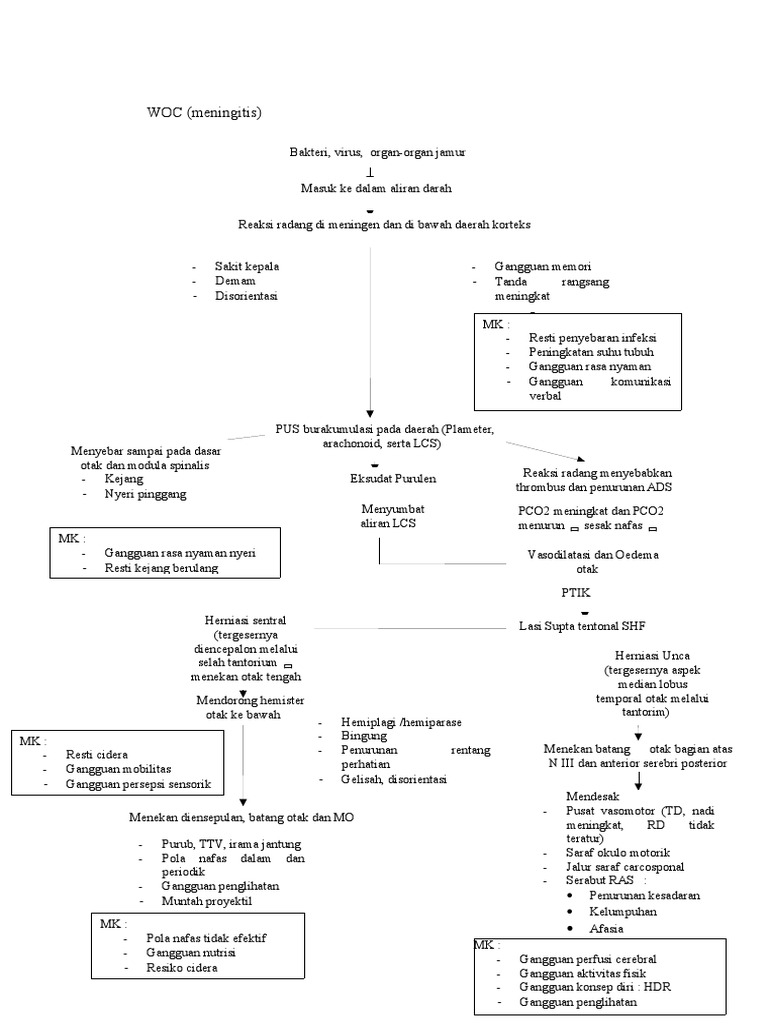 WOC Meningitis | PDF | Ilmu Sosial | Sains & Matematika