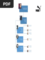 Deber Dafo de La Empresa Puma | PDF