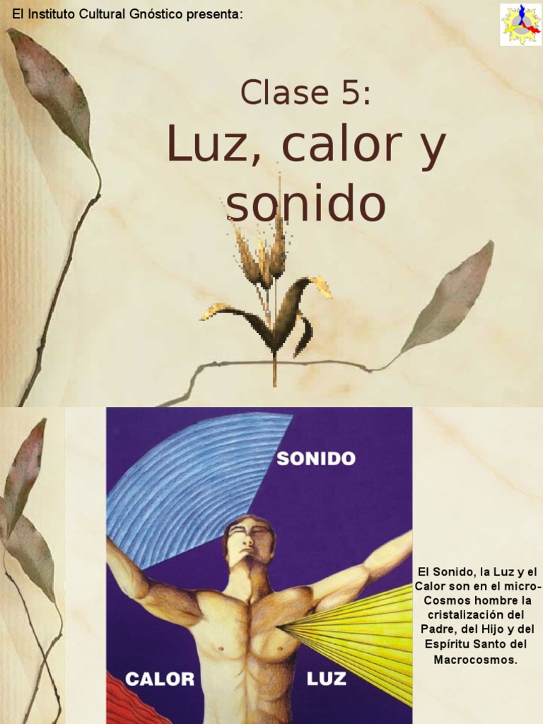 Conf. 5 Luz, Calor y Sonido | PDF | Sonido | Vida
