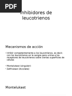 Ipp Everest DX | PDF | Asma | Medicamentos con receta