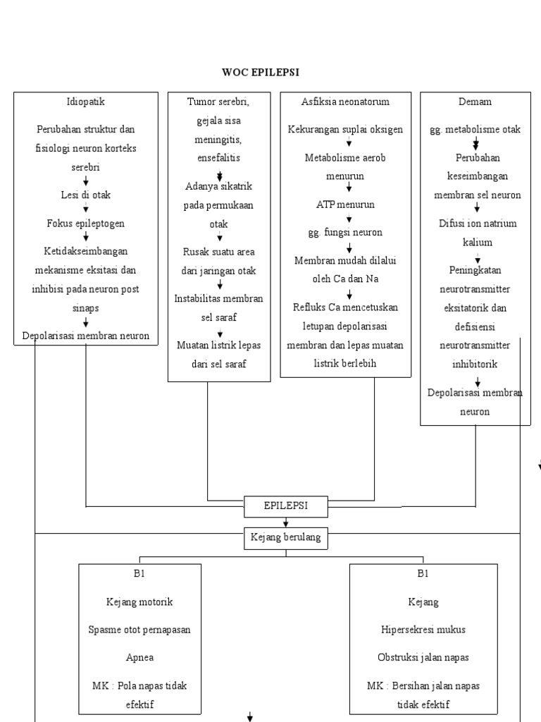 Woc Epilepsi 3 | PDF