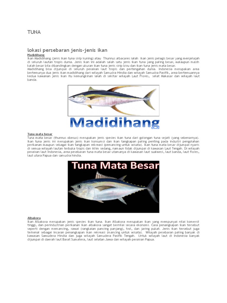 Tuna | PDF