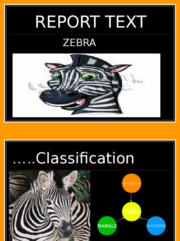Zebra Facts for Kids: Identification & Traits | PDF | General Fiction