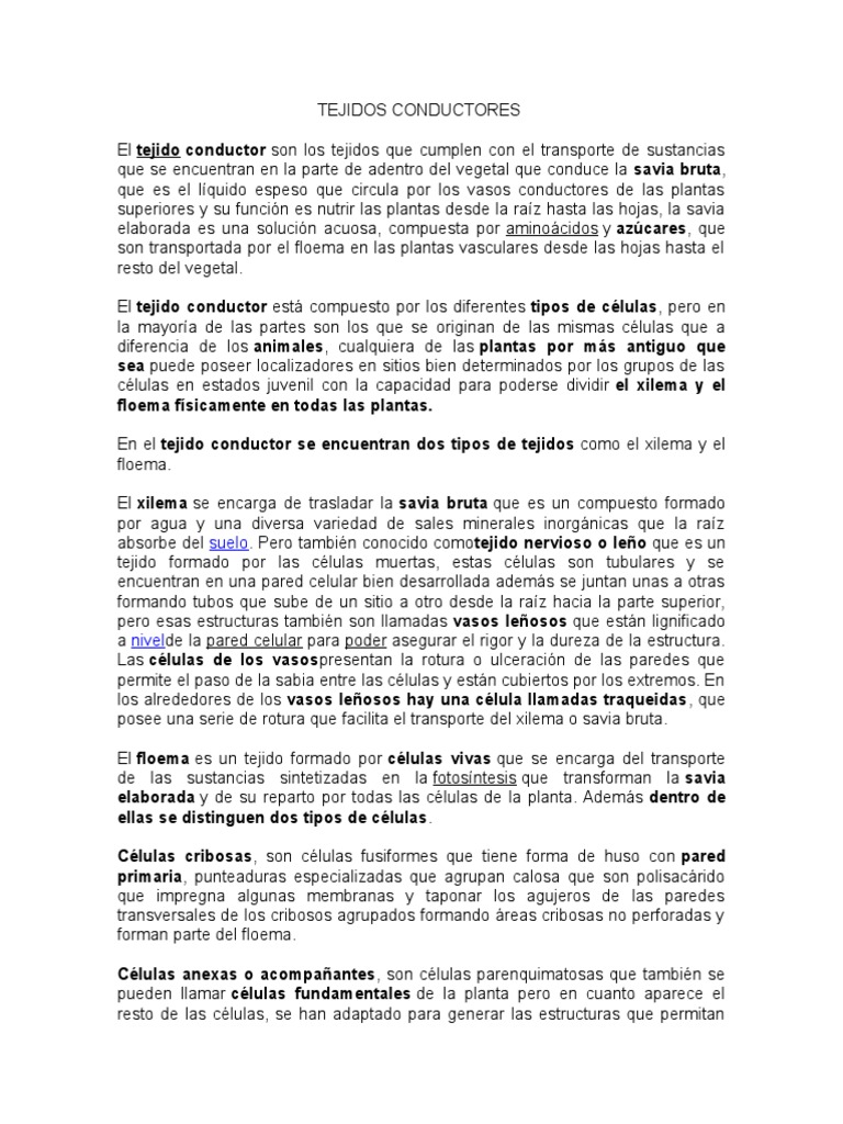 Tejidos Conductores | PDF | Morfología Vegetal | Botánica