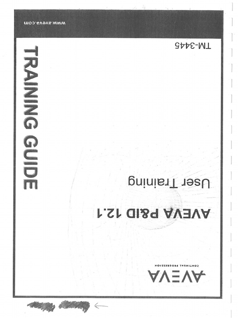 AVEVA - Training Guide | PDF