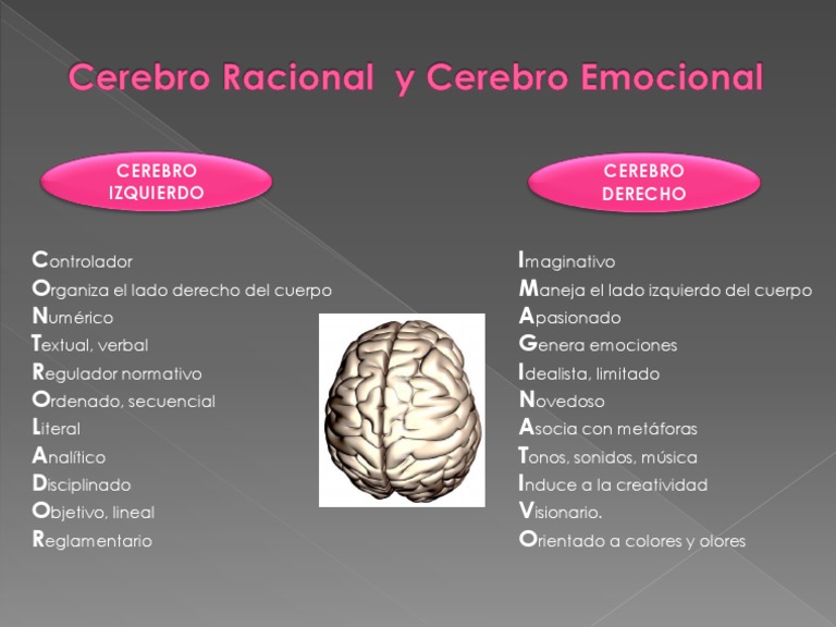 Cerebro Racional Vs Emocional Pdf