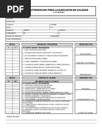 Formato de Liberación de Colado | PDF | Derecho | Ciencia y matemáticas