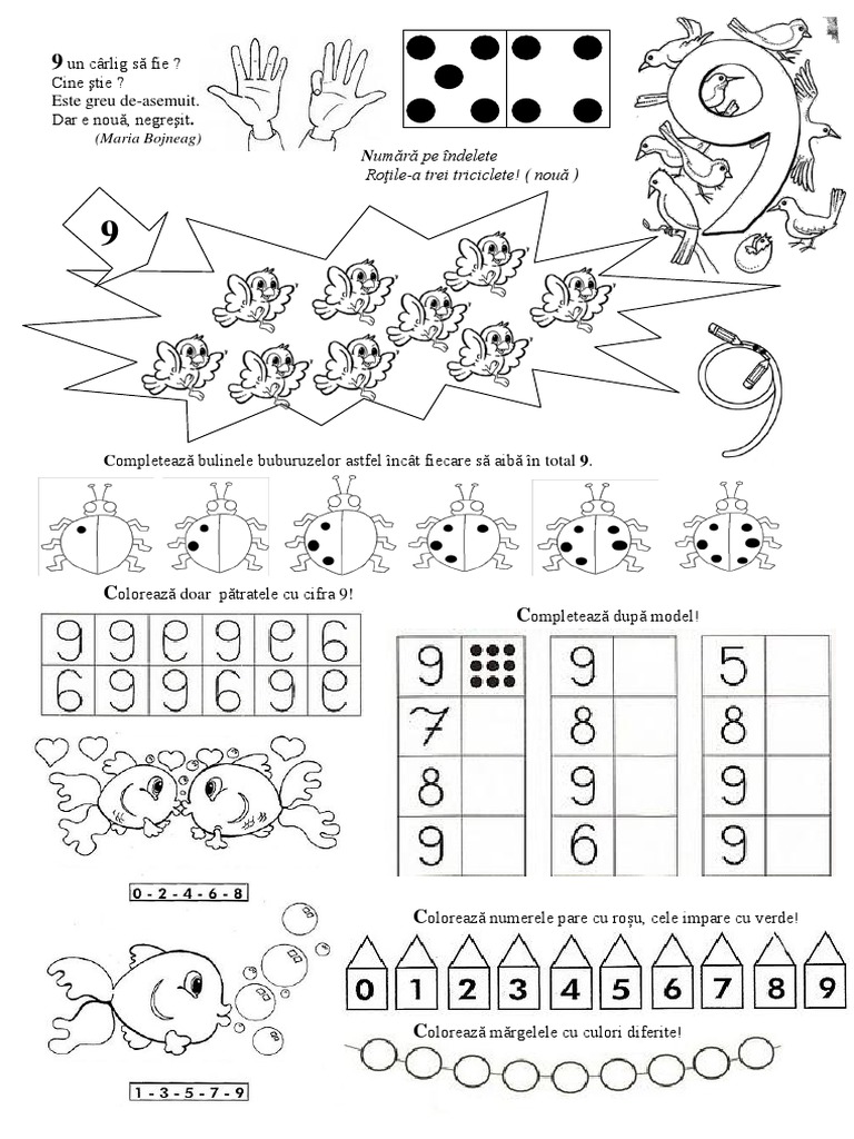 Numarul Si Cifra 9 FISA de LUCRU