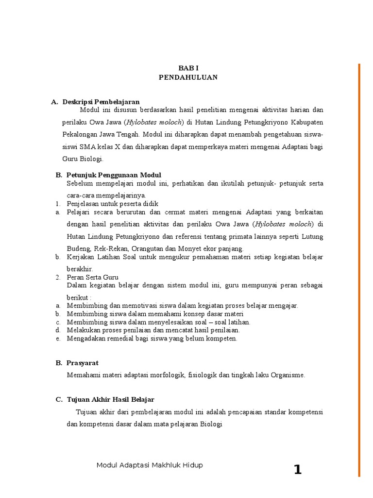 Modul Adaptasi | PDF