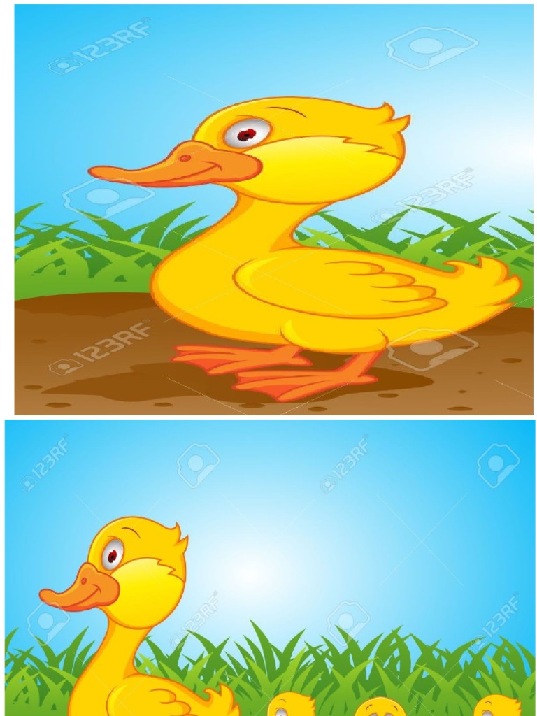El Patito Coleton