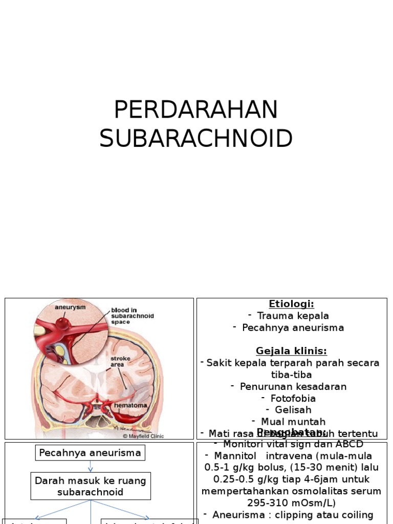 Perdarahan Subarachnoid | PDF