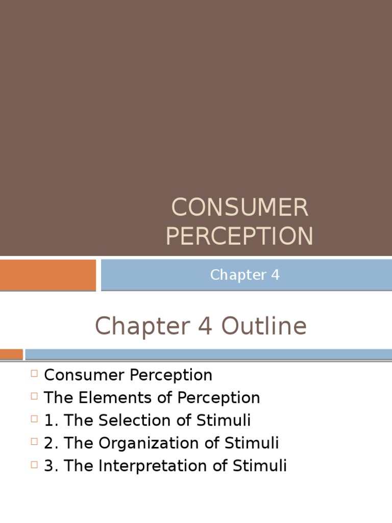 Chapter 4 PowerPoint-2 | PDF | Perception | Attention
