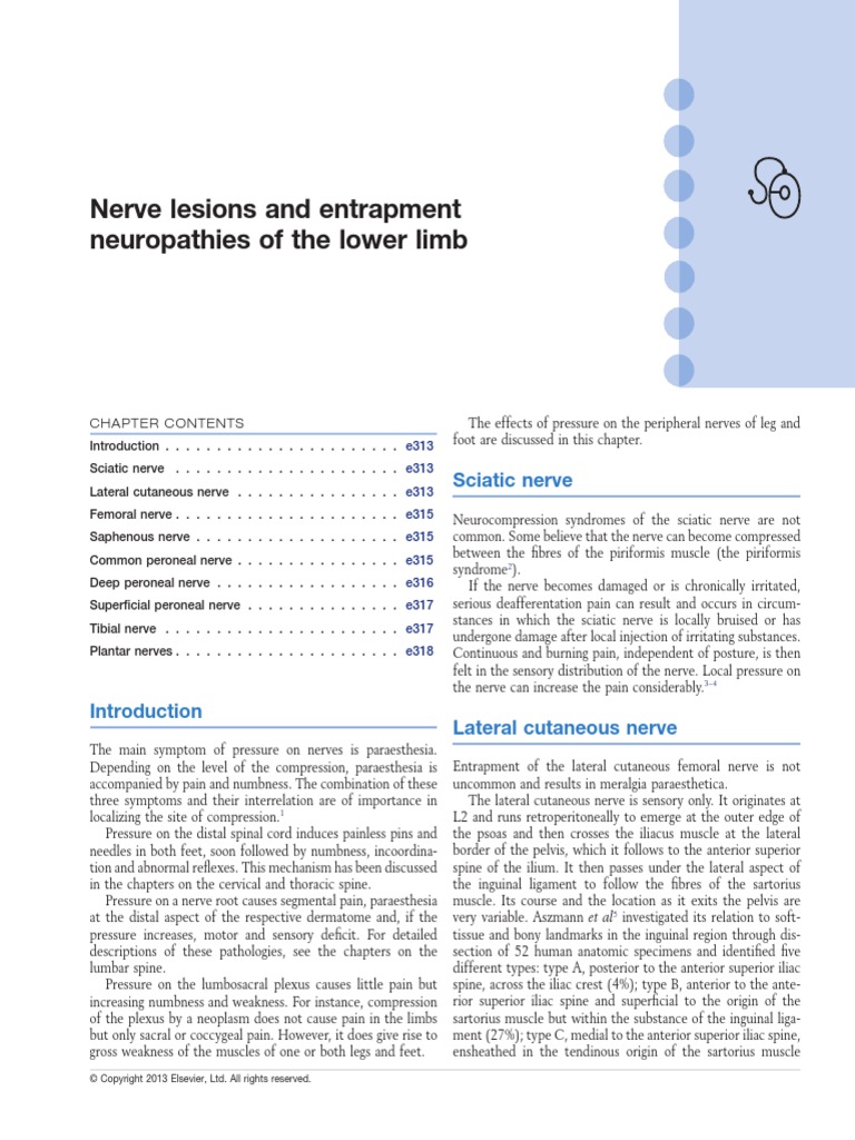 Nerve Lesions and Entrapment Neuropathies of The Lower Limb | PDF