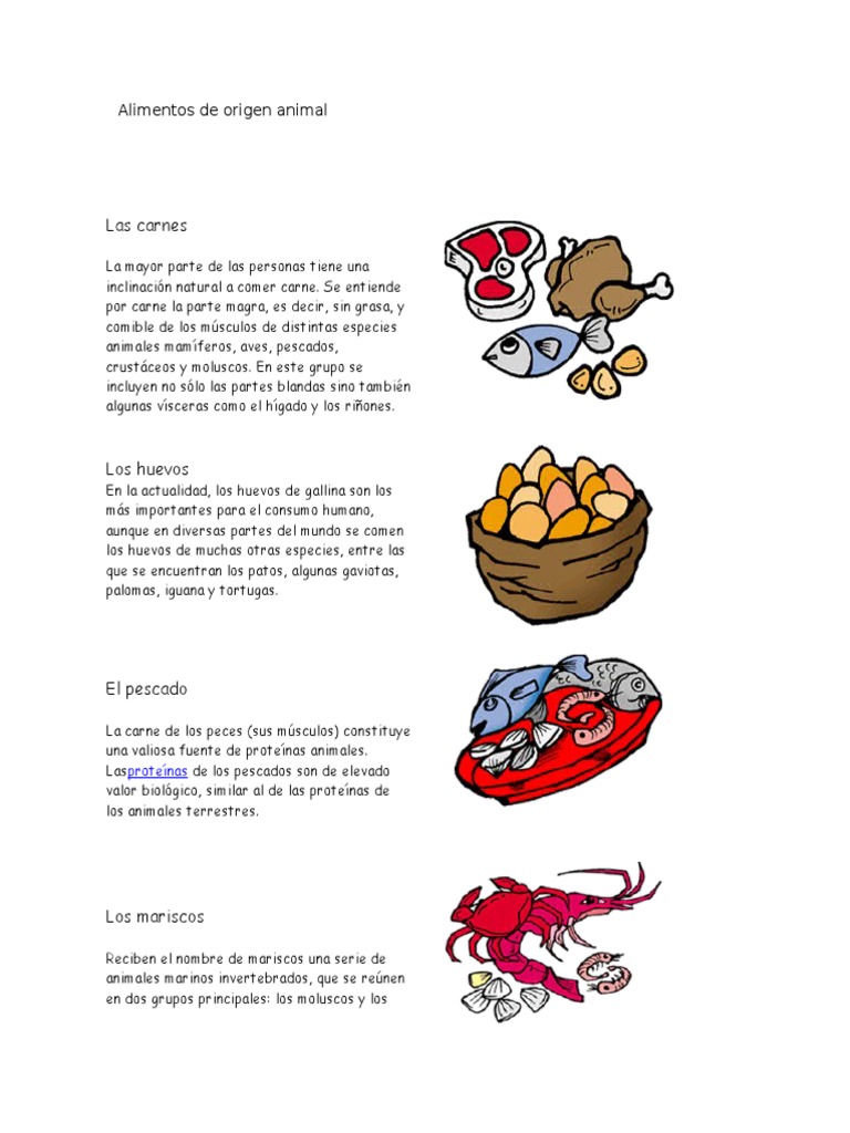 Alimentos de Origen Animal | PDF | Cereales | Vitamina
