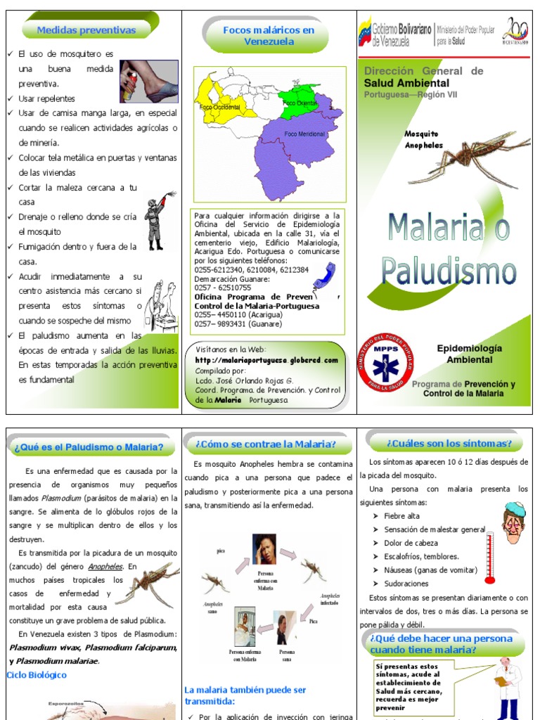 Triptico de Malaria Nov10 | PDF