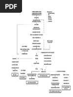 Woc Nstemi Fix | PDF