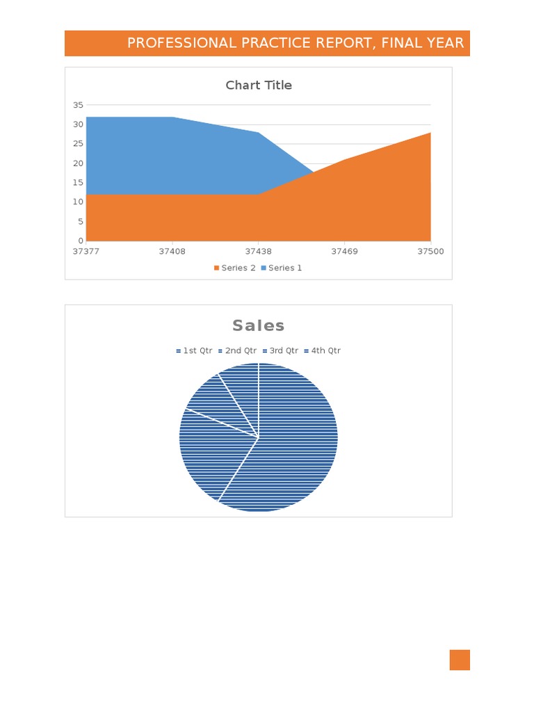 Professional Practice Report, Final Year: Sales | PDF
