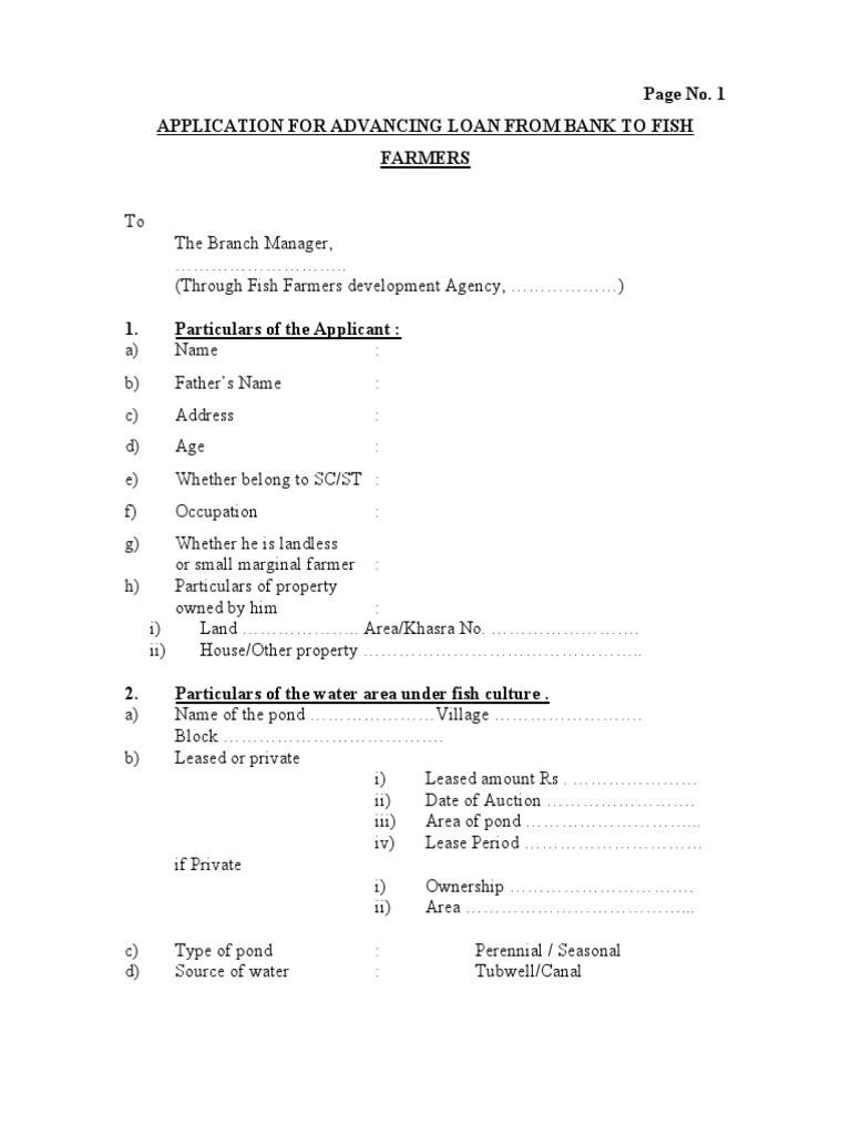 Form For Loan, Subsidy and Affidavit | PDF