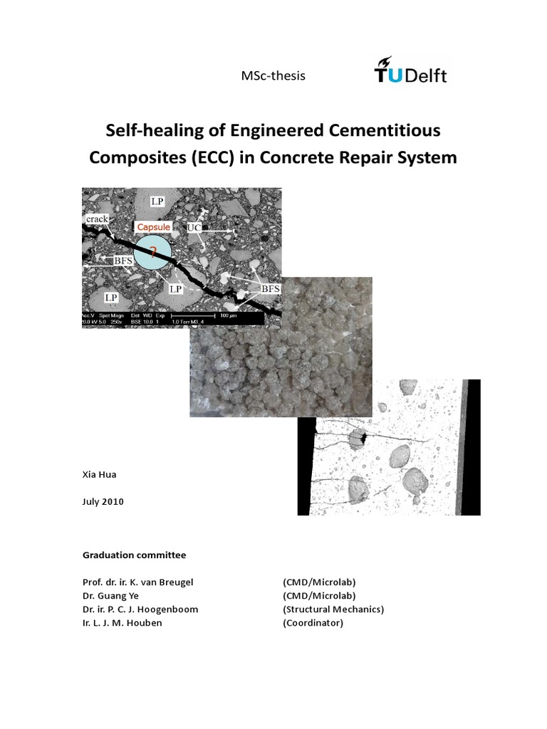 Self-Healing of Engineered Cementitious Composites in Concrete Repair ...