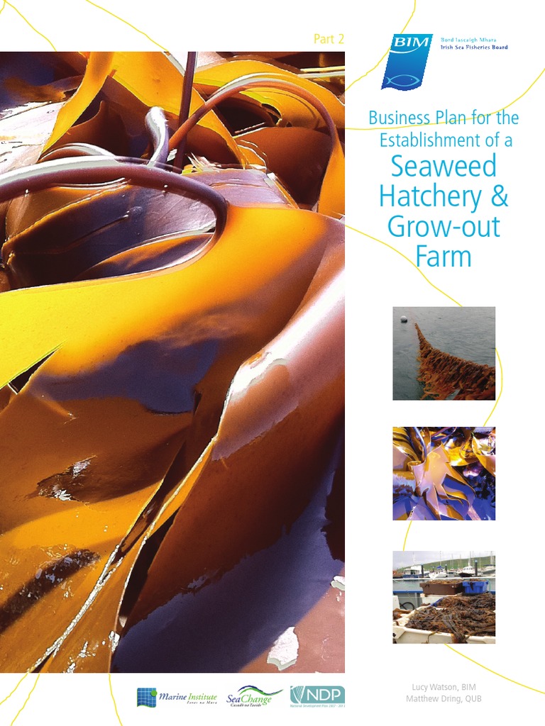 Business Plan Fot The Establishment of A Seaweed Hatchery and Grow-Out ...
