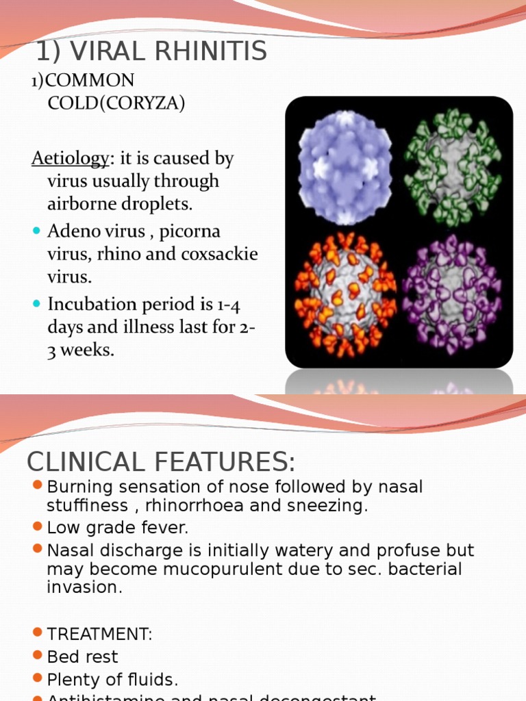 Acute and Chronic Rhinitis | Human Nose | Rhinology