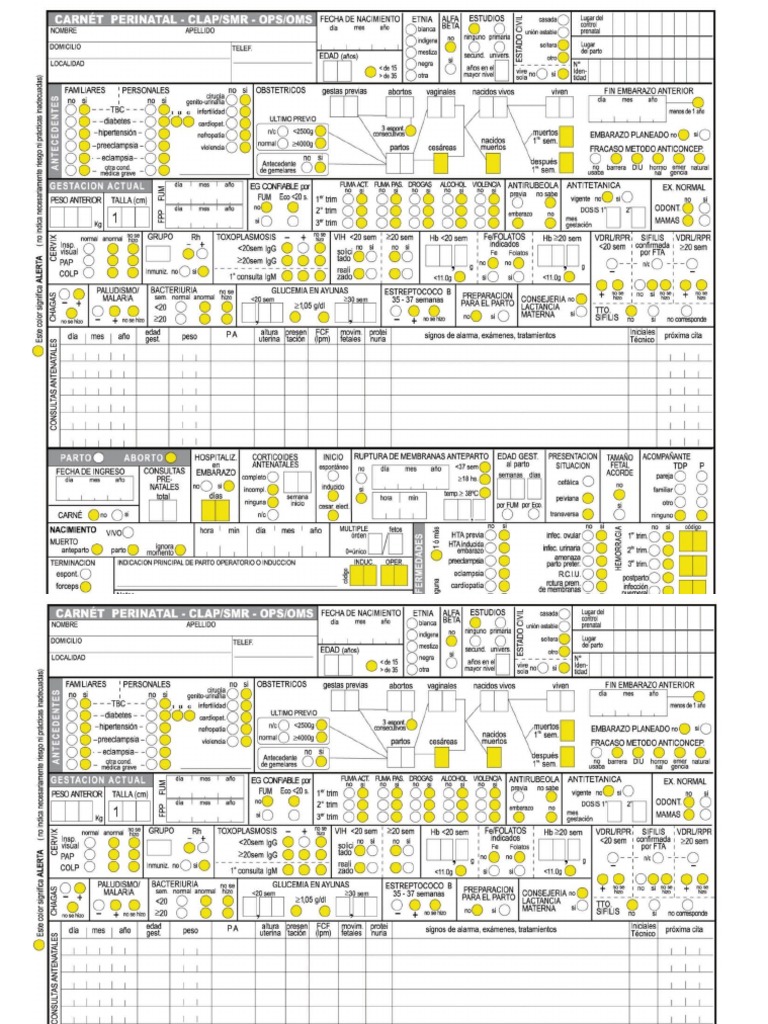 Carnet Perinatal | PDF