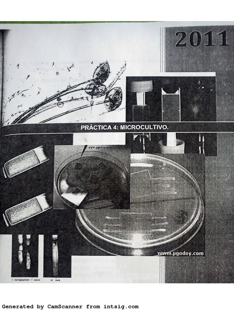 Microbiologia 2. Microcultivo Fes Zaragoza Unam | PDF