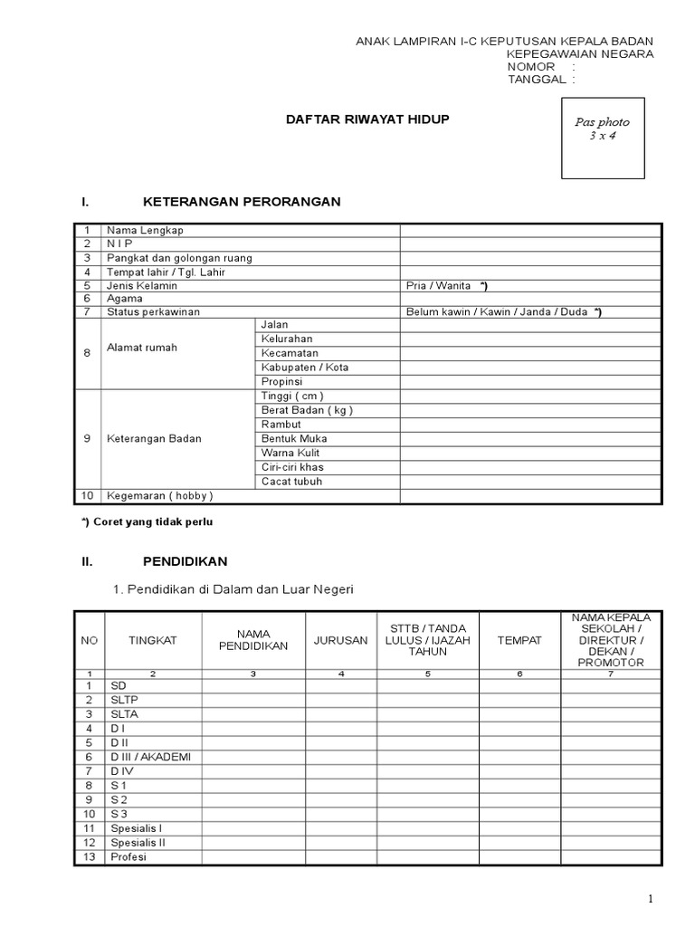 Format Formulir CV Pro BKN | PDF