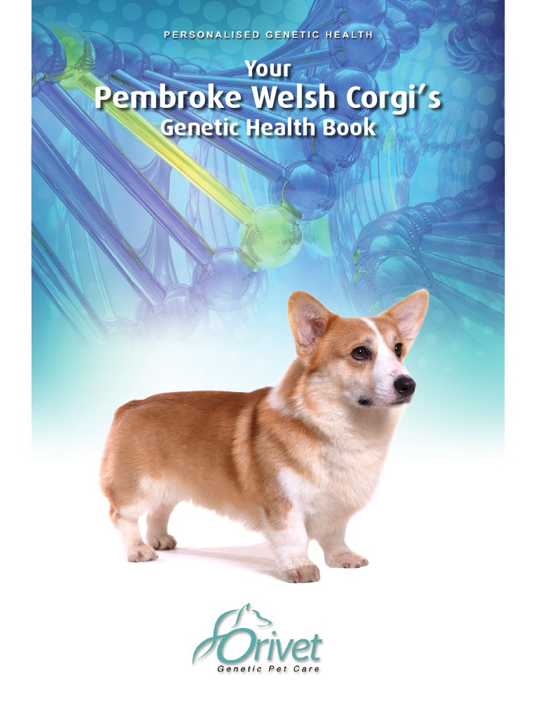 Pembroke Welsh Corgi Pdf Dogs Medical Specialties