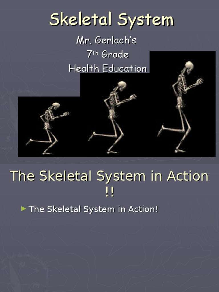 Skeletal+System+Powerpoint.ppt | Skeleton | Bone