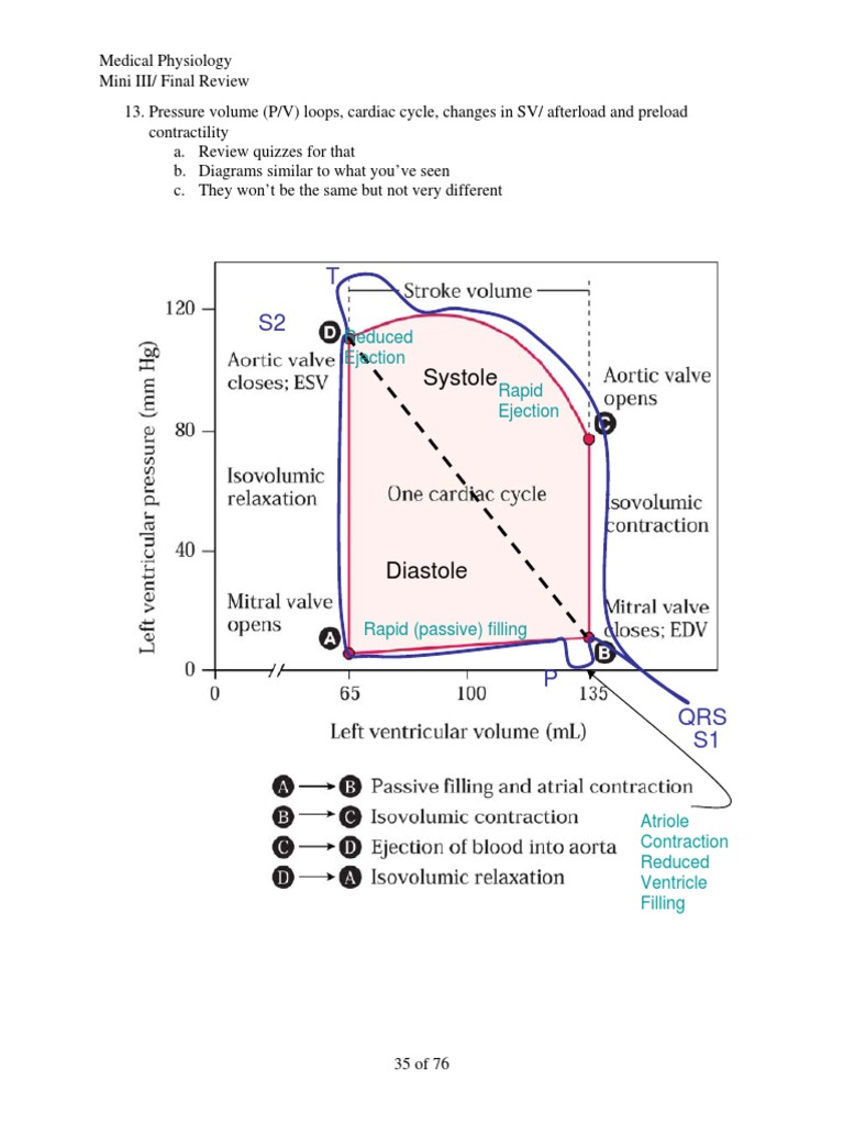 PV Loop | PDF