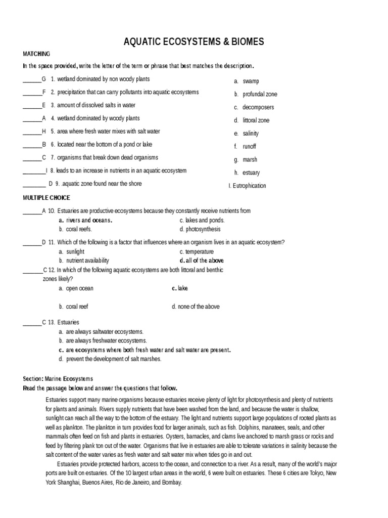 Aquatic Ecosystems Biomes Ws hw2 | PDF | Aquatic Ecosystem | Physical ...