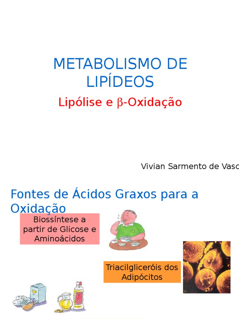 Lipólise e B-oxidação | Ciclo do Ácido Cítrico | Mitocôndria