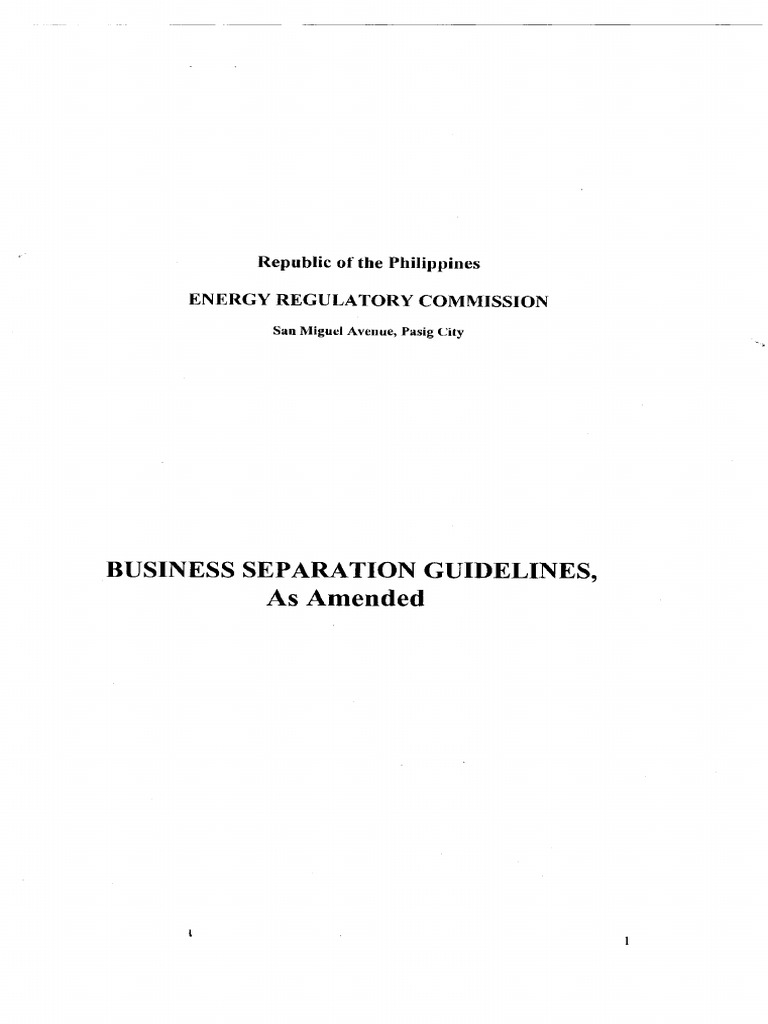 Business Separation Guidelines | PDF