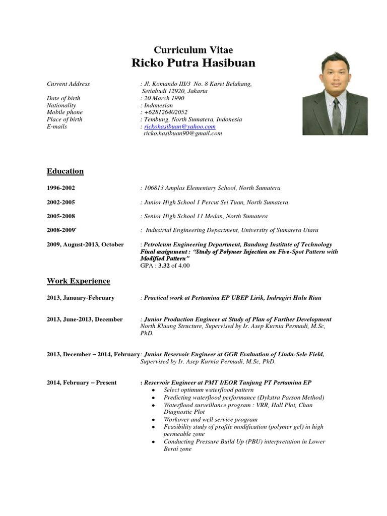 CV-Ricko Putra Hasibuan | PDF | Natural Gas | Fuel Production