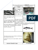 Anatomía y Fisiología de Los Peces Teleósteos | PDF | Vena | Pescado
