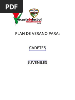 Biografía Raúl Rizo | PDF | Kárate | Artes marciales del este asiático