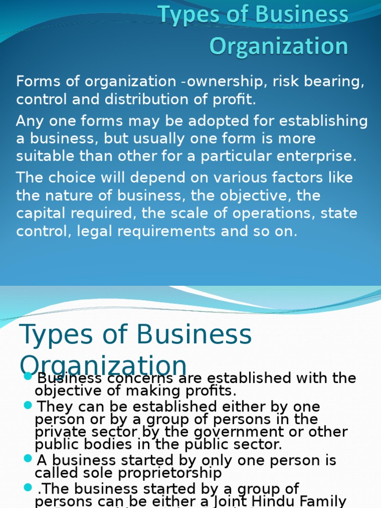 Types of Business Organizations Explained | PDF | Partnership | Sole ...