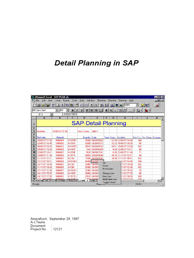 Instruction For Detailed Planning (Sap-Plan) | PDF | Computer File ...
