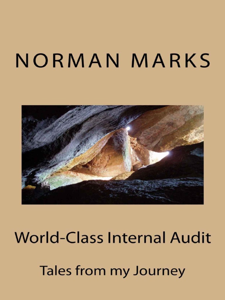 World Class Internal Audit | PDF | Debits And Credits | Internal Audit