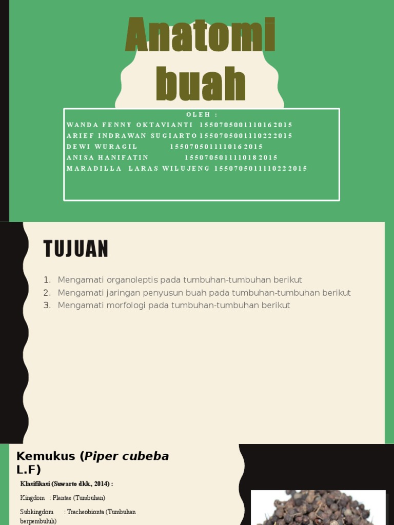 Anatomi Buah | PDF