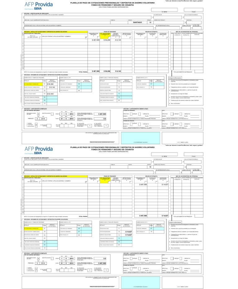 Formulario Planilla Provida Excel | PDF | Francia | Medios de comunicación