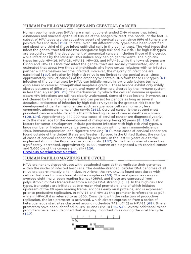 Human Papillomaviruses and Cervical Cancer Patogenesis | PDF | Cervical Cancer | Gene Expression