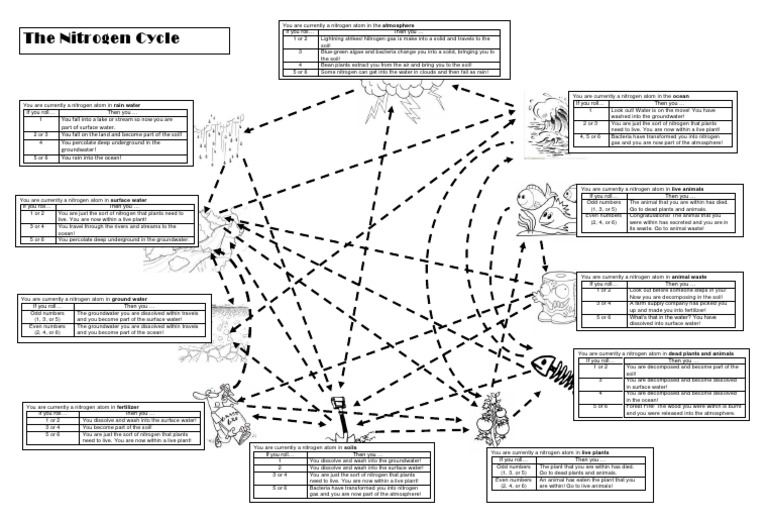 Nitrogen Cycle Game | Download Free PDF | Soil | Groundwater