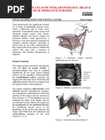 Radial Free Forearm Flap - RFFF - Surgical Technique | PDF