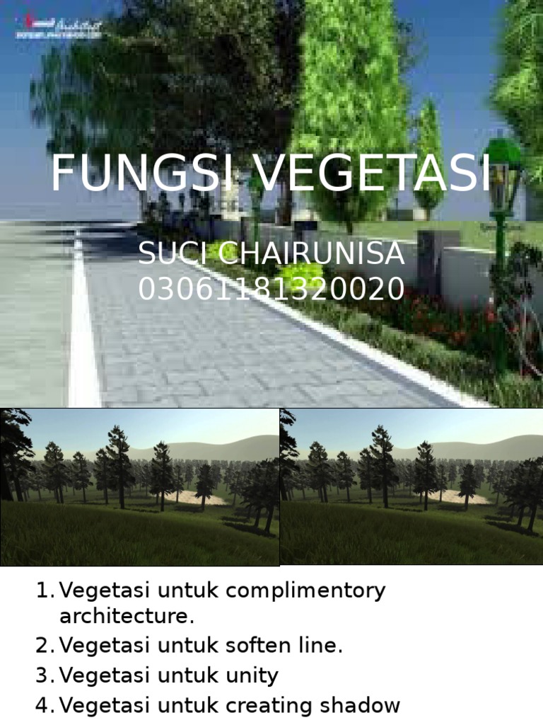 Fungsi Vegetasi | PDF