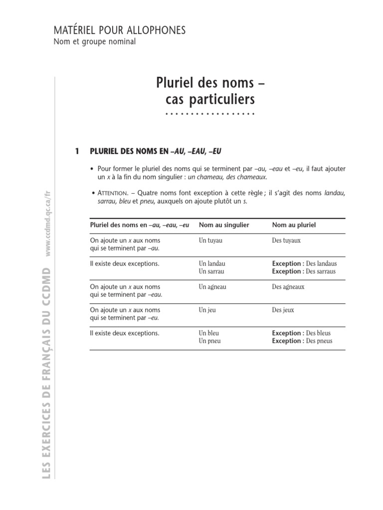 Pluriel Particul | PDF | Arts (Général) | Personnes